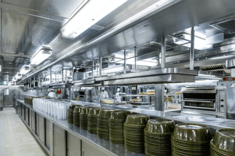 Disinfestazione Topi a Torino - Soluzioni Rapide